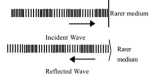 Reflection of waves at the boundry of rarrer and denser medium