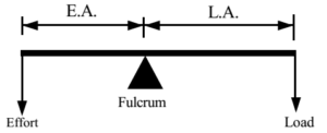 Effort arm Archives - The Fact Factor
