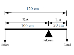 Lever and its types: Solved Numerical Problems